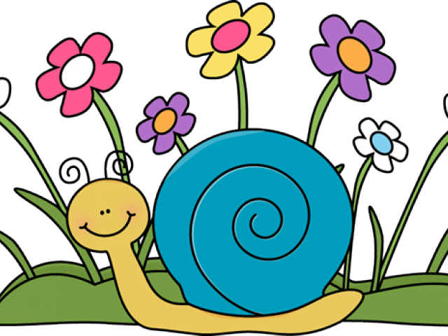 Mollusc Clipart Spring - Png Download - Full Size Clipart (#2859302 ...