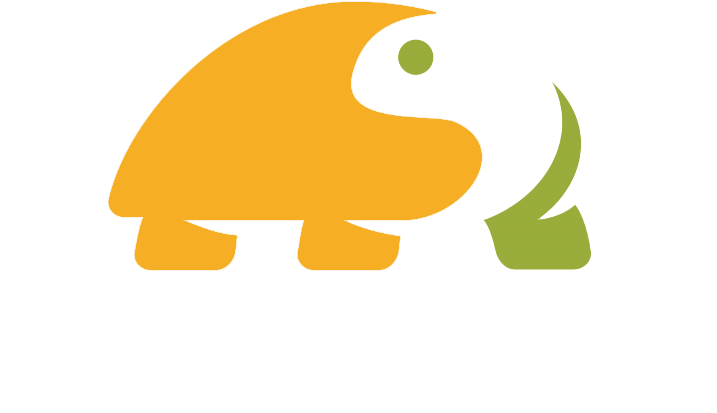 Smug Turtle Clipart - Full Size Clipart (#2864256) - PinClipart