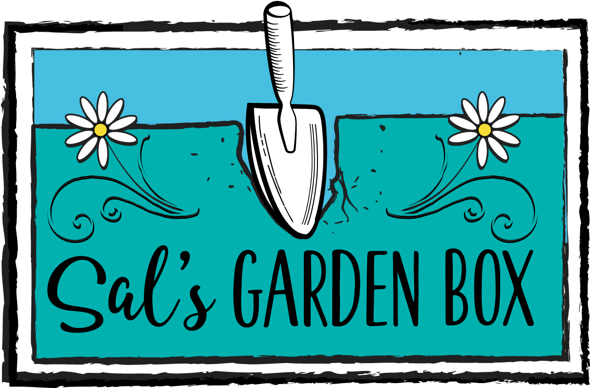 Download Lima Bean Clipart Png Download 2875117 Pinclipart