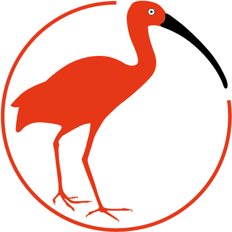 Ibis Clipart - Png Download - Full Size Clipart (#2899520) - PinClipart