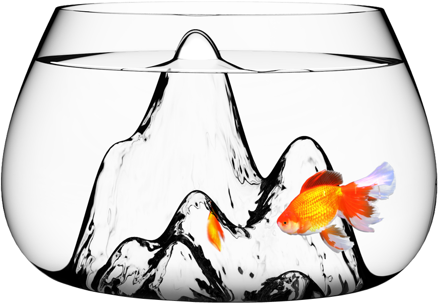 Fishscape Fish Bowl Clipart - Full Size Clipart (#2899934) - PinClipart