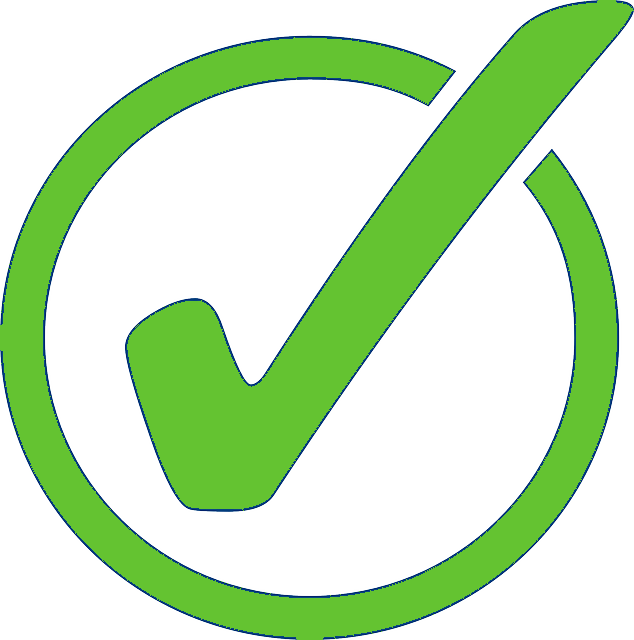 Checklist Box Clipart Check Mark Checklist Clip Art - Voter Check Mark ...