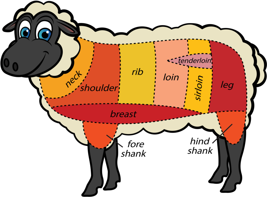 Cuts Meat Sheep Tips - Cuts Of Meat For Sheep Clipart - Full Size ...