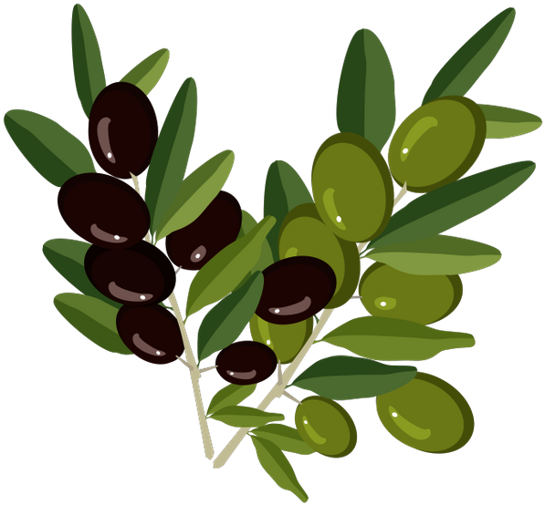 Оливки, Веточка Оливы, Olive Branch Clipart - Full Size Clipart ...