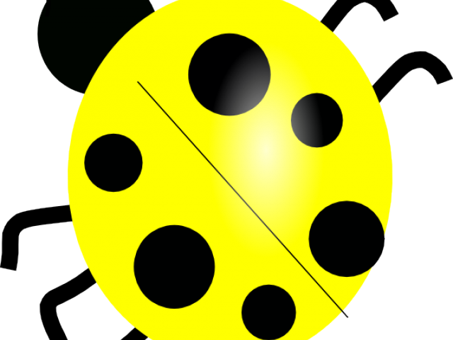 Ladybug Clipart Yellow Ladybug - Png Download - Full Size Clipart ...