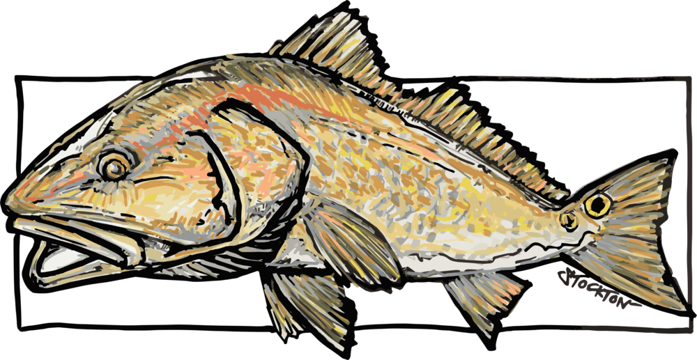 Redfish 2018 Prev Clipart - Full Size Clipart (#2903805) - PinClipart