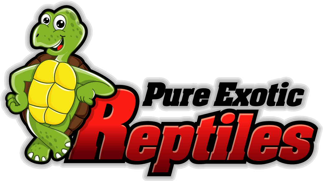 Still Have Questions We Are Here To Answer Clipart - Full Size Clipart ...