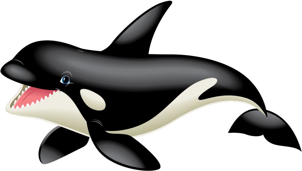 Killer Whale Clip Art - Png Download - Full Size Clipart (#2911060 ...