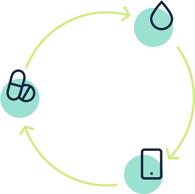 Graphic Showing The Cycle Of Testing, Receiving Your Clipart - Full ...