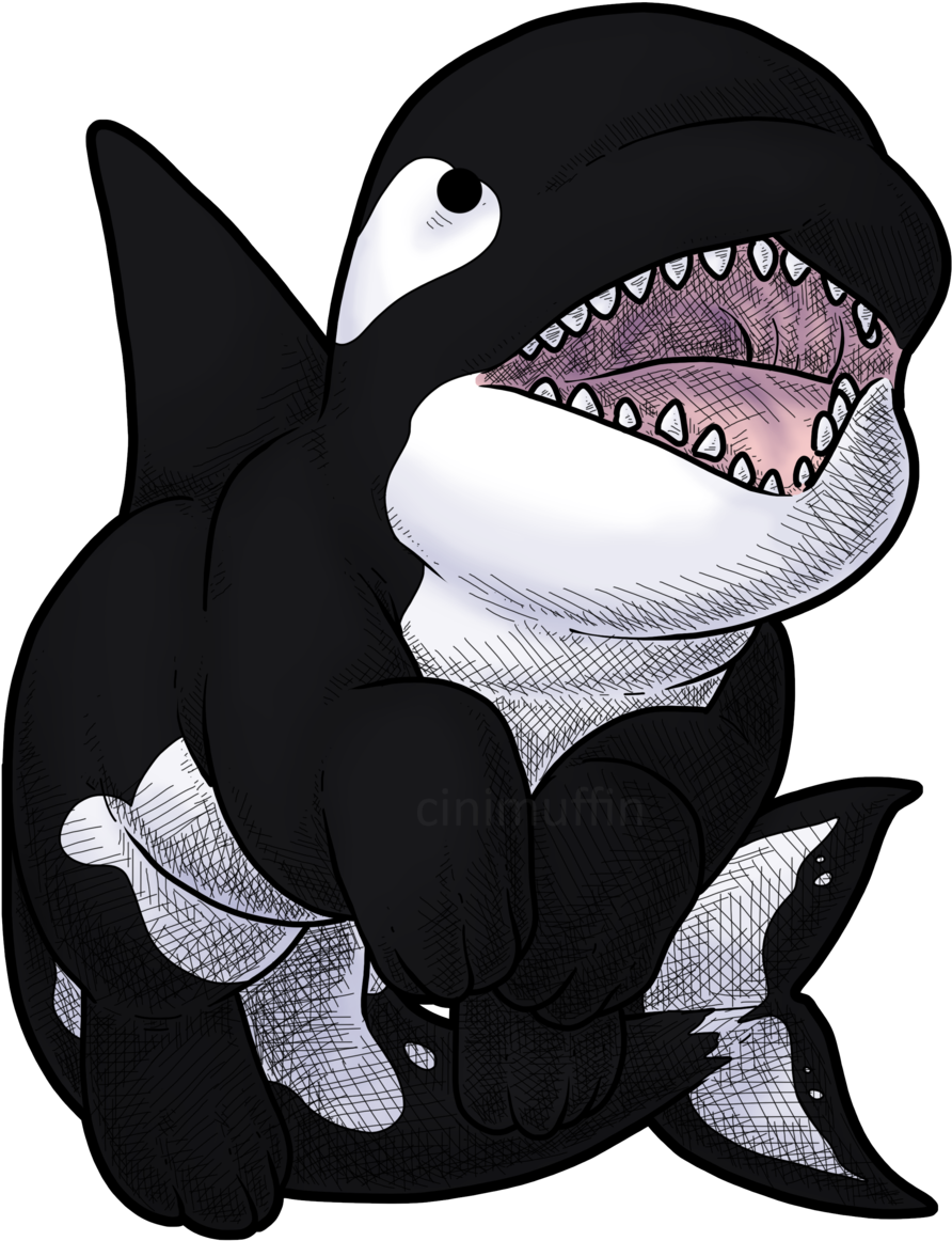 Orca Clip Art - Png Download - Full Size Clipart (#2922407) - PinClipart