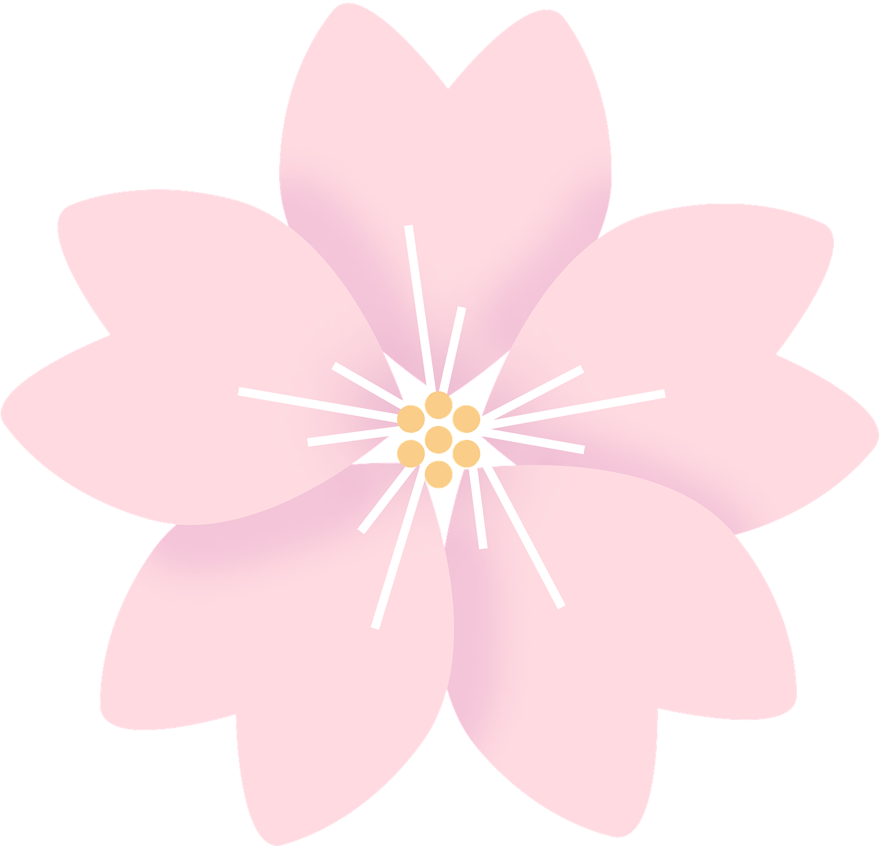 Download Flowers Cherry Blossom Sakura Clipart (#2946597) - PinClipart