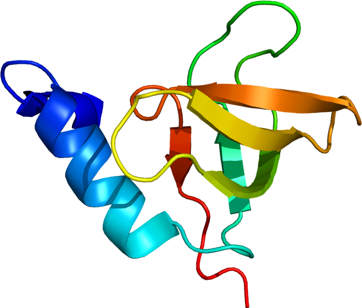 Metaphase Clipart - Png Download - Full Size Clipart (#2955031 ...