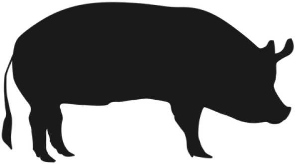 Download Shadow Clipart Pig - Png Download (#2961337) - PinClipart