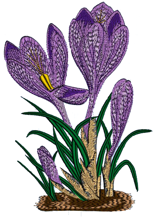 Download Crocus Clipart (#2974949) - PinClipart