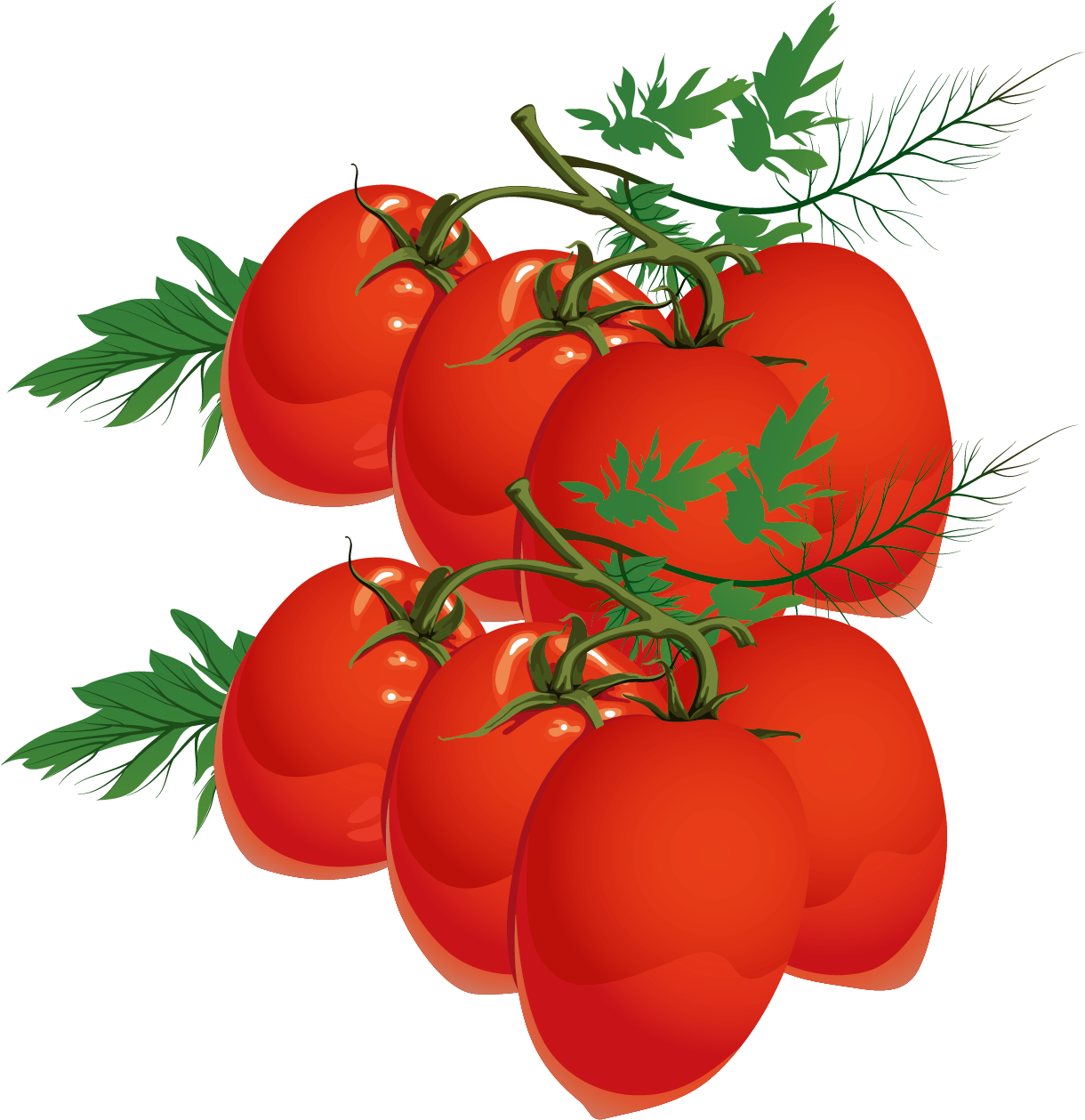 Tomato Clip Art - Png Download - Full Size Clipart (#2984974) - PinClipart