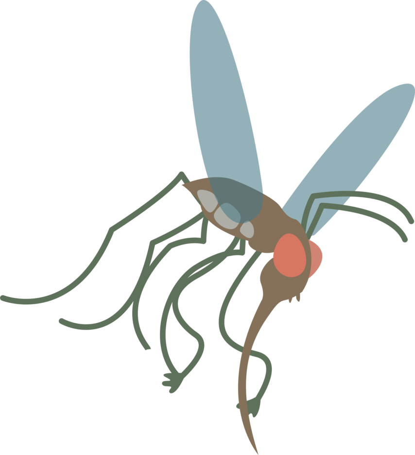 Mosquito Clip Art - Png Download - Full Size Clipart (#2985245 ...