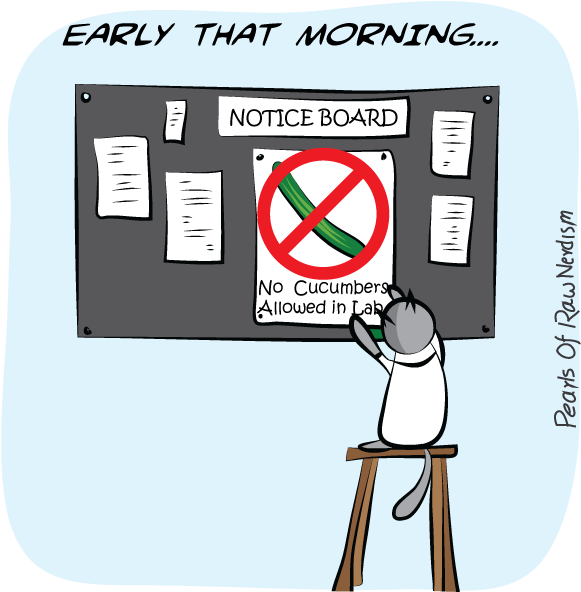 Science Cat Cucumber4 Clipart - Full Size Clipart (#2994585) - PinClipart