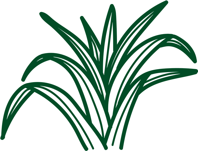 Belonging Clipart - Full Size Clipart (#2997814) - PinClipart