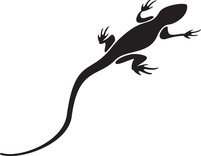 Lizzard Clip Art - Png Download - Full Size Clipart (#2999720) - PinClipart