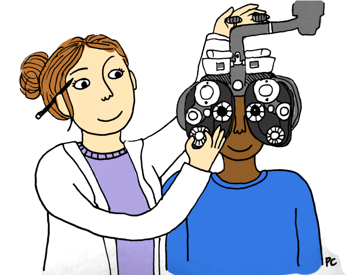 Download As Our Gateways To The World, The Function Of The Human ...