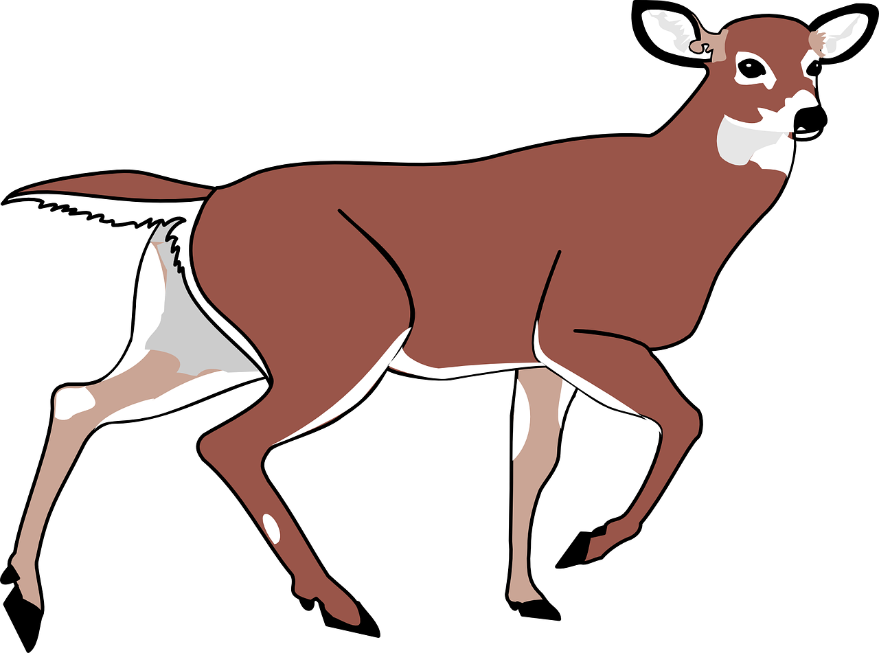 Deer Clip Art Border - Deer Walking Clipart - Png Download - Full Size ...