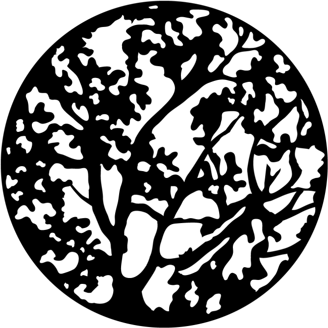 Spring Branches Clipart - Full Size Clipart (#3008086) - PinClipart