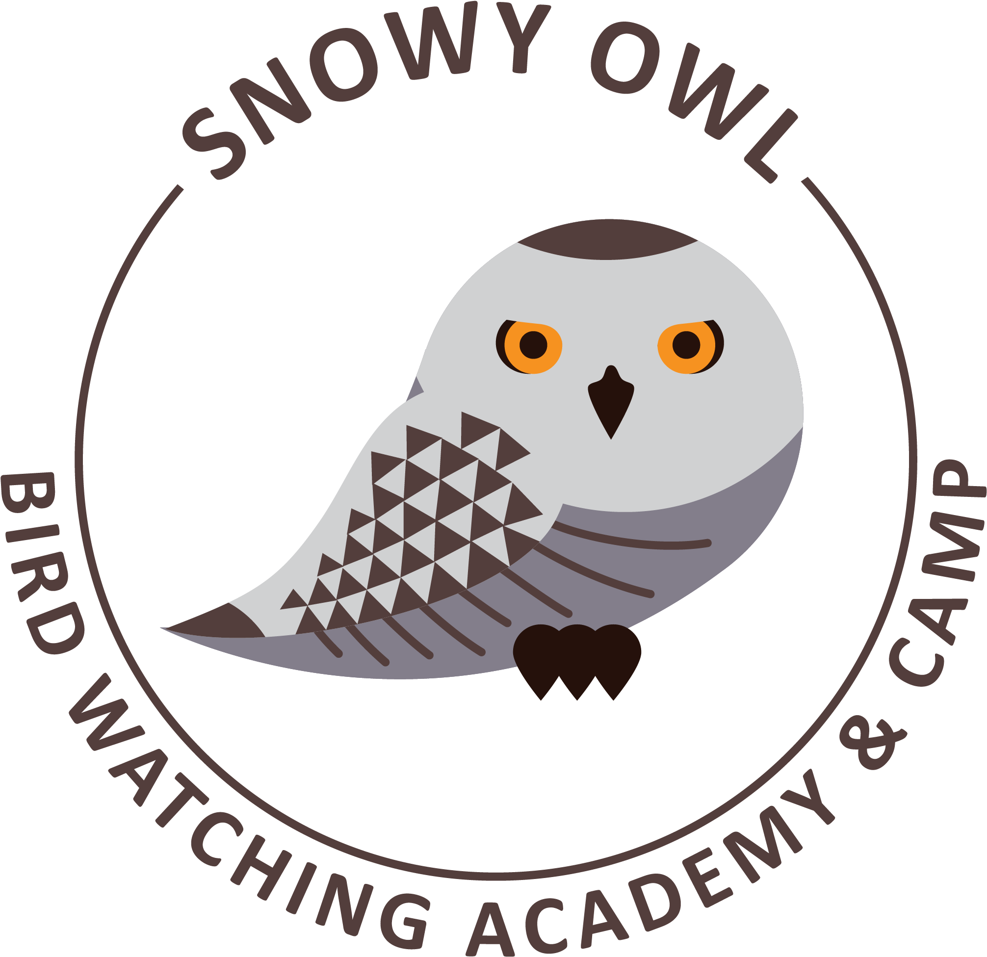 Snowy Owl Clip Art - Png Download - Full Size Clipart (#3012043 ...