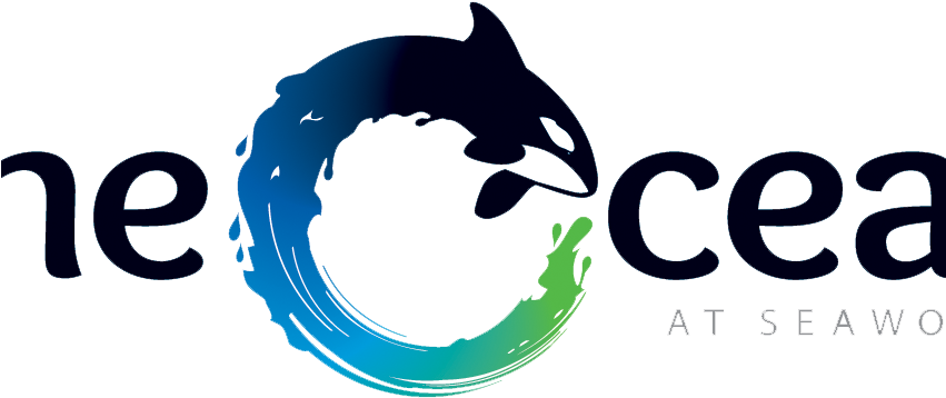 Shamu Clipart - Png Download - Full Size Clipart (#3021480) - PinClipart