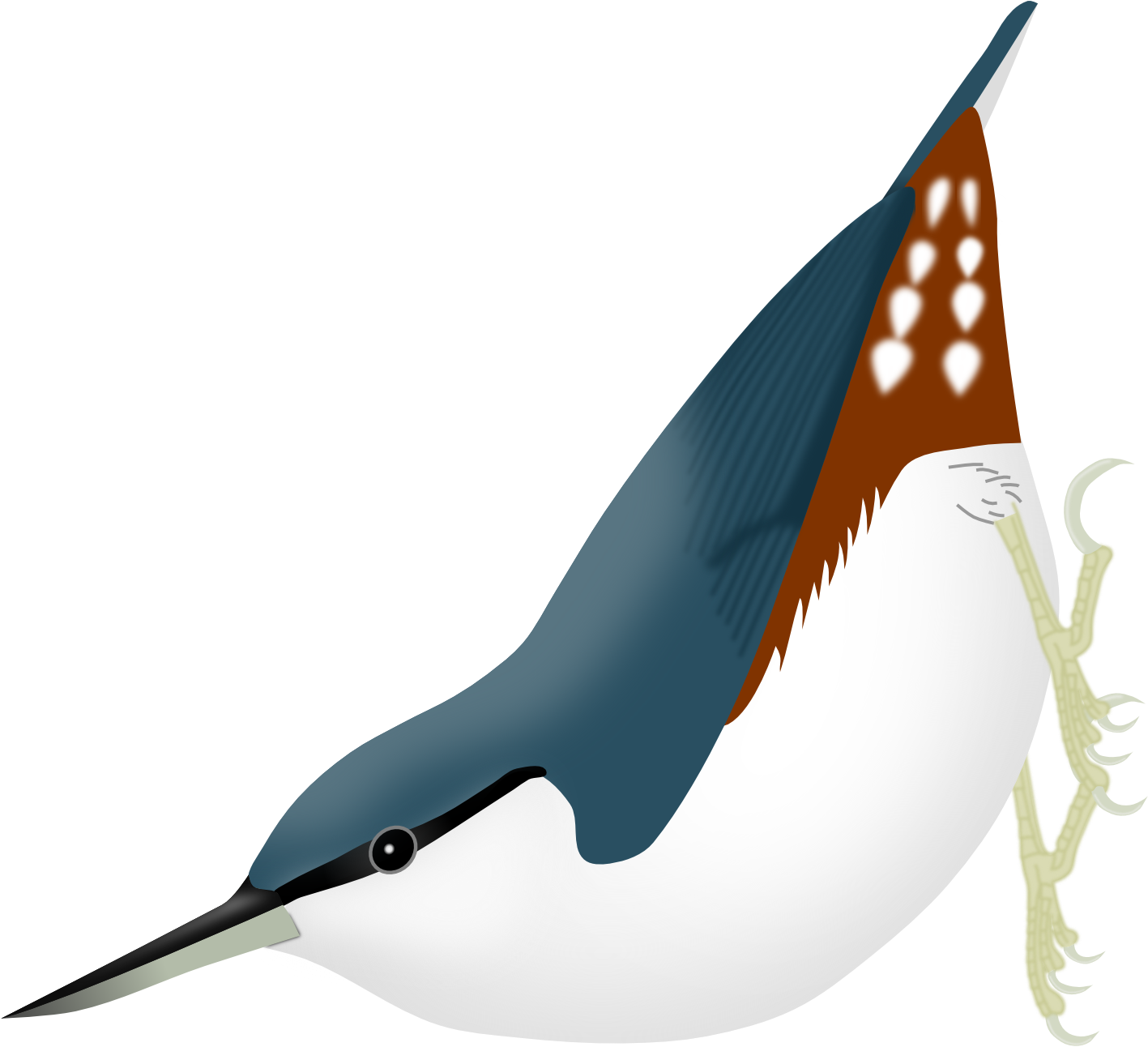 Mockingbird Clip Art - Png Download - Full Size Clipart (#3026757 ...