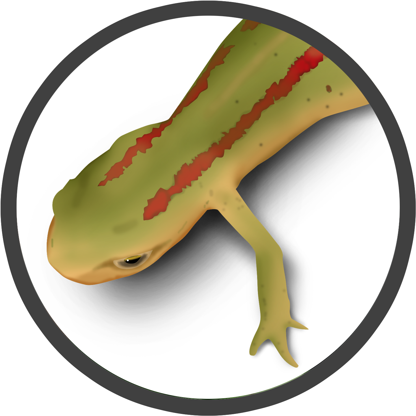 Become A Member Of Clipart - Full Size Clipart (#3027944) - PinClipart