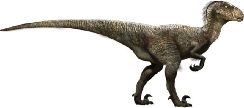 Velociraptor Clip Art - Png Download - Full Size Clipart (#3033869 ...