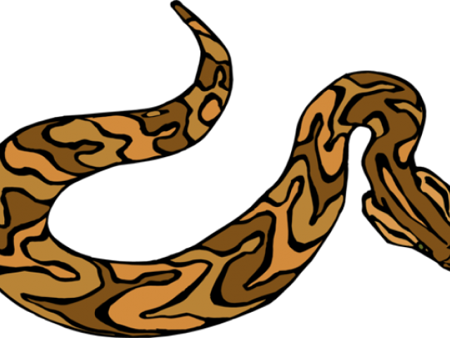 Download Anaconda Cliparts - Png Download (#3036070) - PinClipart