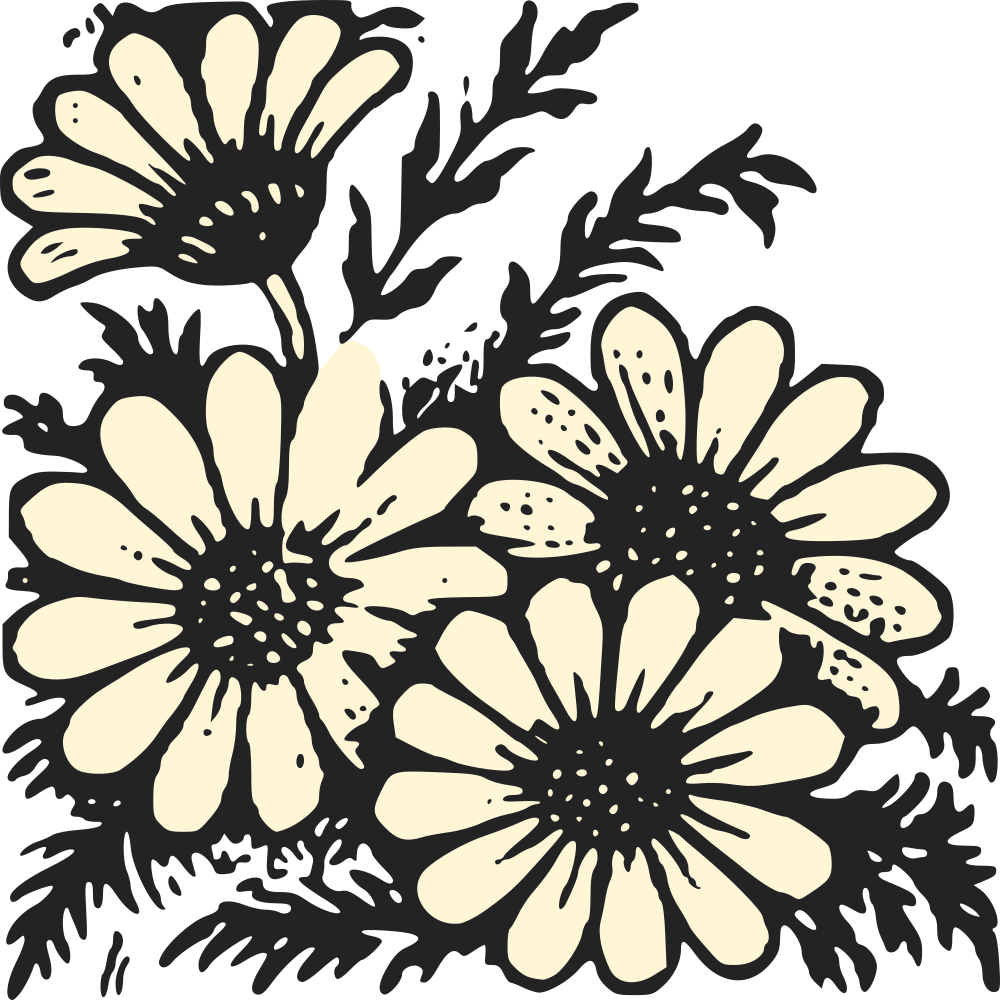 Daisies Clipart - Full Size Clipart (#3036920) - PinClipart