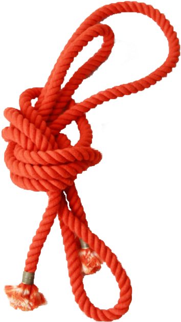 Coil Of Rope Clipart - Png Download - Full Size Clipart (#3040595 ...