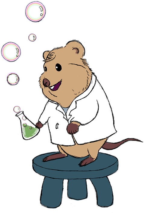 In A Nutshell Clipart - Full Size Clipart (#3045195) - PinClipart