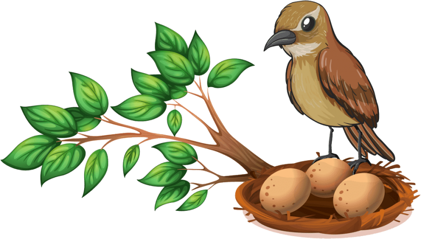 Free Png Download Bird Nest On Tree Png Images Background Clipart ...