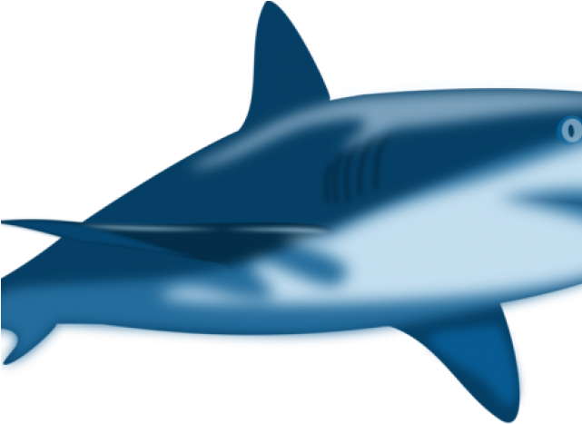 Bull Shark Clipart Reef Shark - Png Download - Full Size Clipart ...