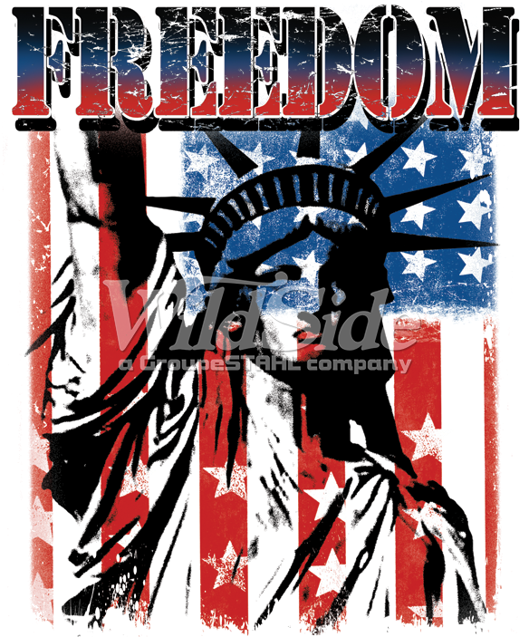 Freedom Flag With Lady Liberty Clipart - Full Size Clipart (#3073346 ...