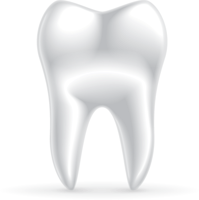 Tooth Clip Art Black And White - Png Download - Full Size Clipart ...