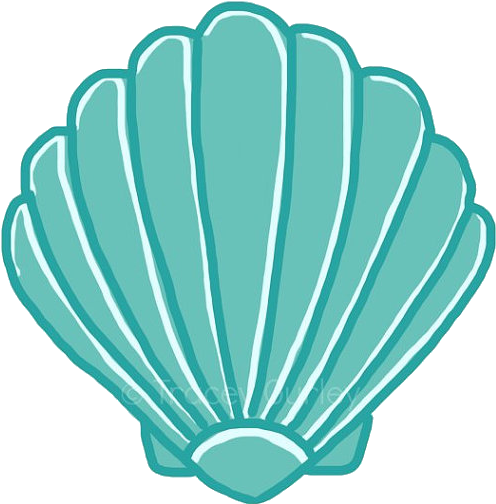 Open Clam Clip Art - Png Download - Full Size Clipart (#3081527 ...