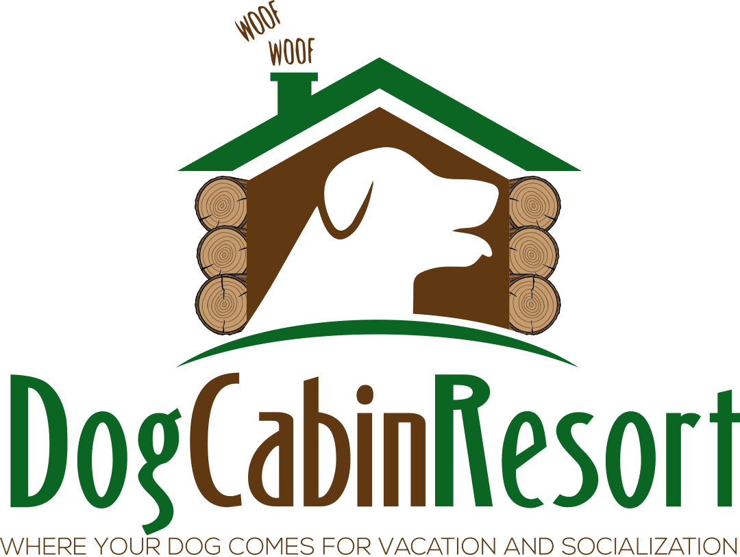 Download Socialization Clipart - Png Download (#3090275) - PinClipart