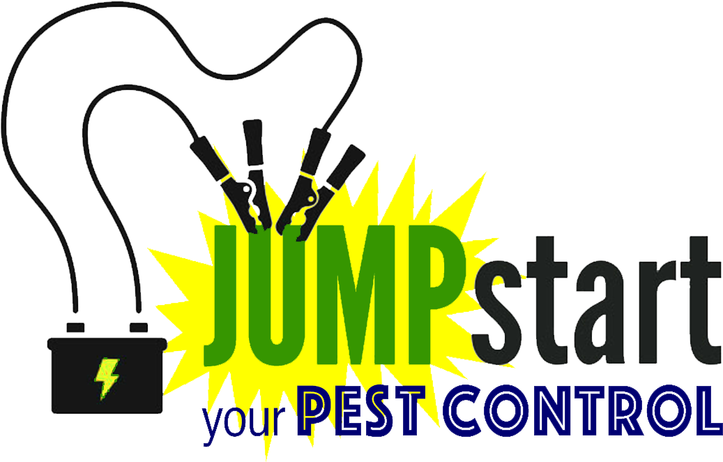 Its Vital To Jump Start Your Service By Doing An Initial - Pest Control ...