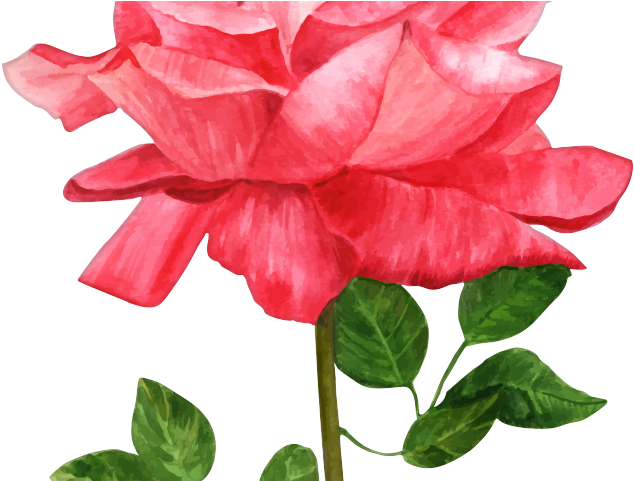 Water Color Clipart Rose - Png Download - Full Size Clipart (#3100430 ...