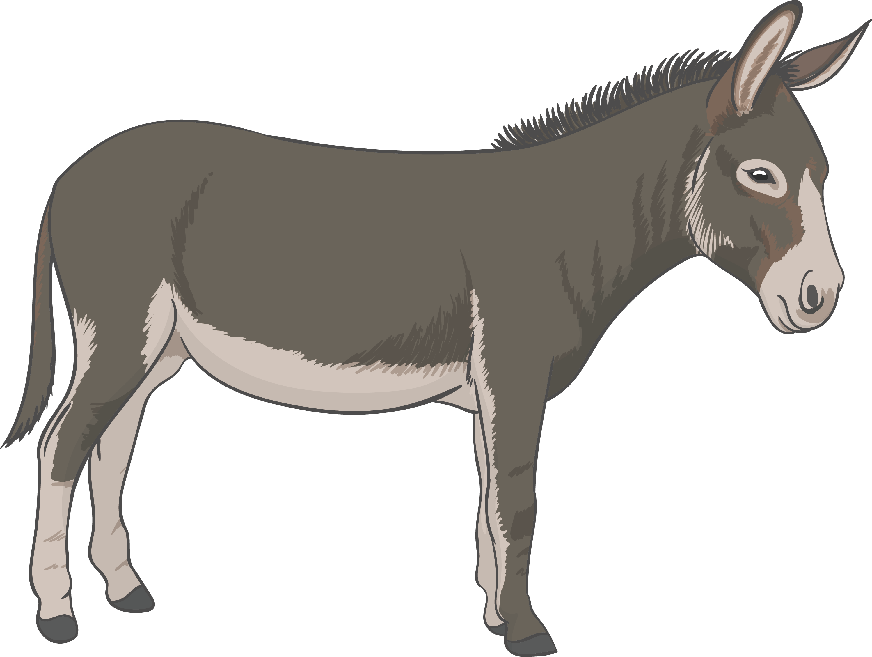 Download Mule Clip Art - Png Download (#3111944) - PinClipart