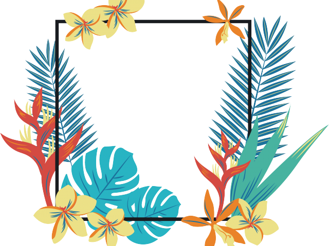 Geometry Clipart Transparent - Png Download - Full Size Clipart ...