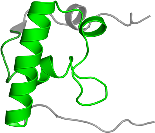Ribosome Clipart - Png Download - Full Size Clipart (#3125807) - PinClipart