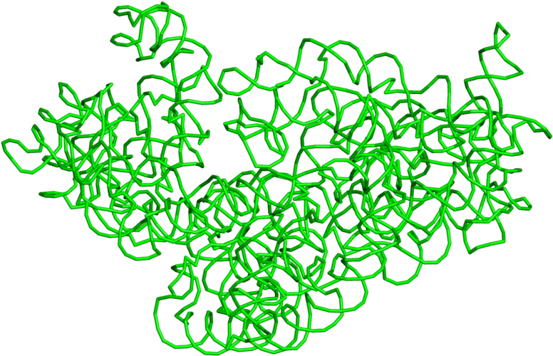 Ribosome Clipart - Png Download - Full Size Clipart (#3125816) - PinClipart