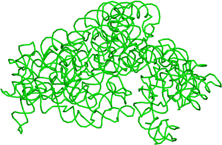 Ribosome Clipart - Png Download - Full Size Clipart (#3125855) - PinClipart