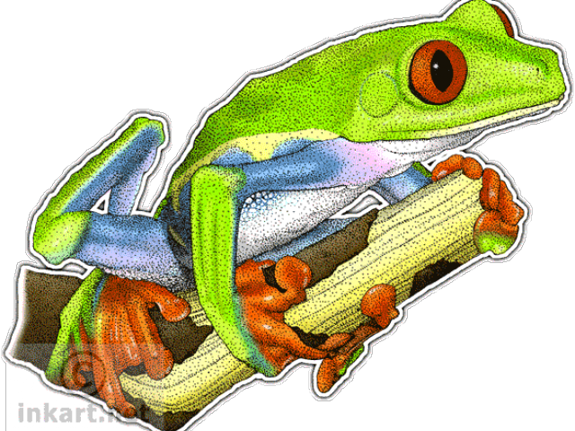 Green Frog Clipart Red Eyed Tree Frog - Png Download - Full Size ...