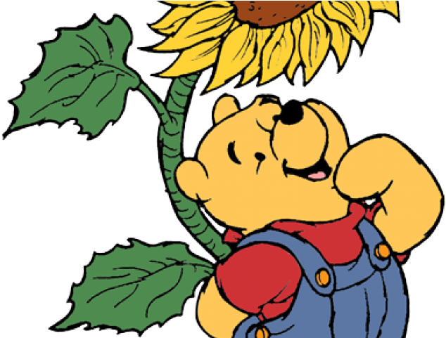 Sunflower Clipart Summer - Winnie The Pooh With Sunflower - Png ...